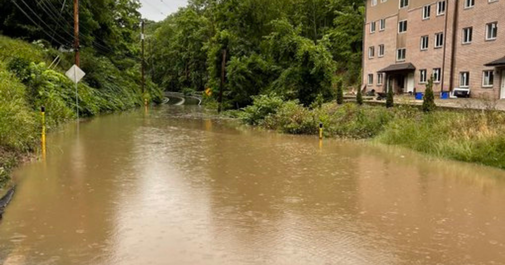 Crews Respond To Flash Flooding, Downed Trees And Wires During Heavy ...