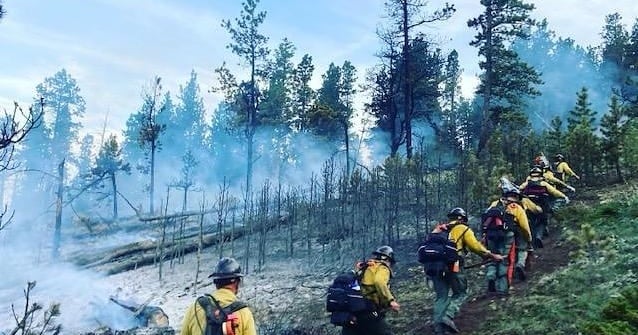 Denver Firefighters Travel Across The West To Help Fight Wildfires ...