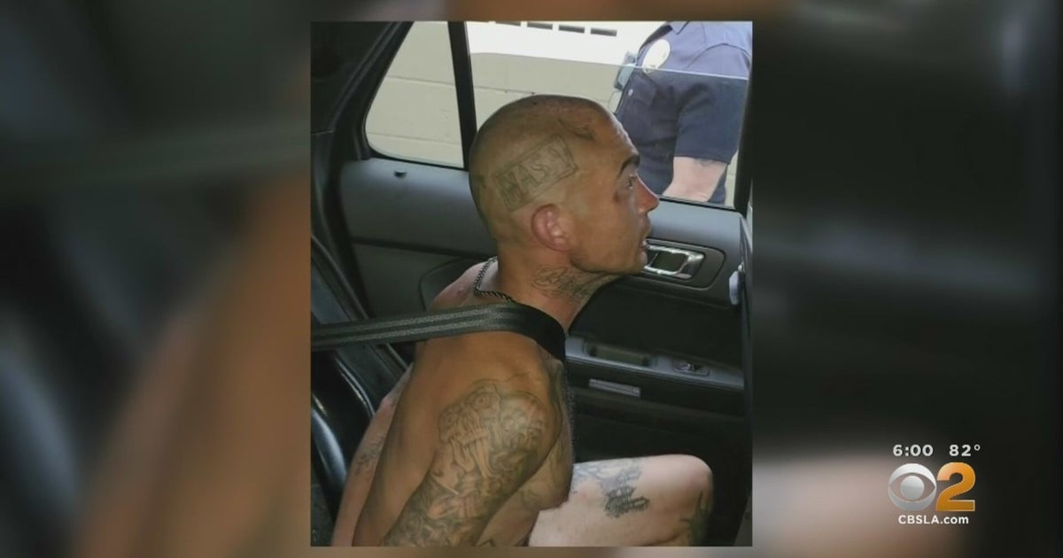 Gage Roth, Man Found Naked After Allegedly Breaking Into Van Nuys ...