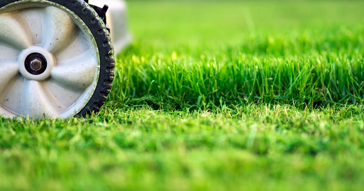 Man Shoots At Lawn Mowers, Code Compliance, Police Officers After ...