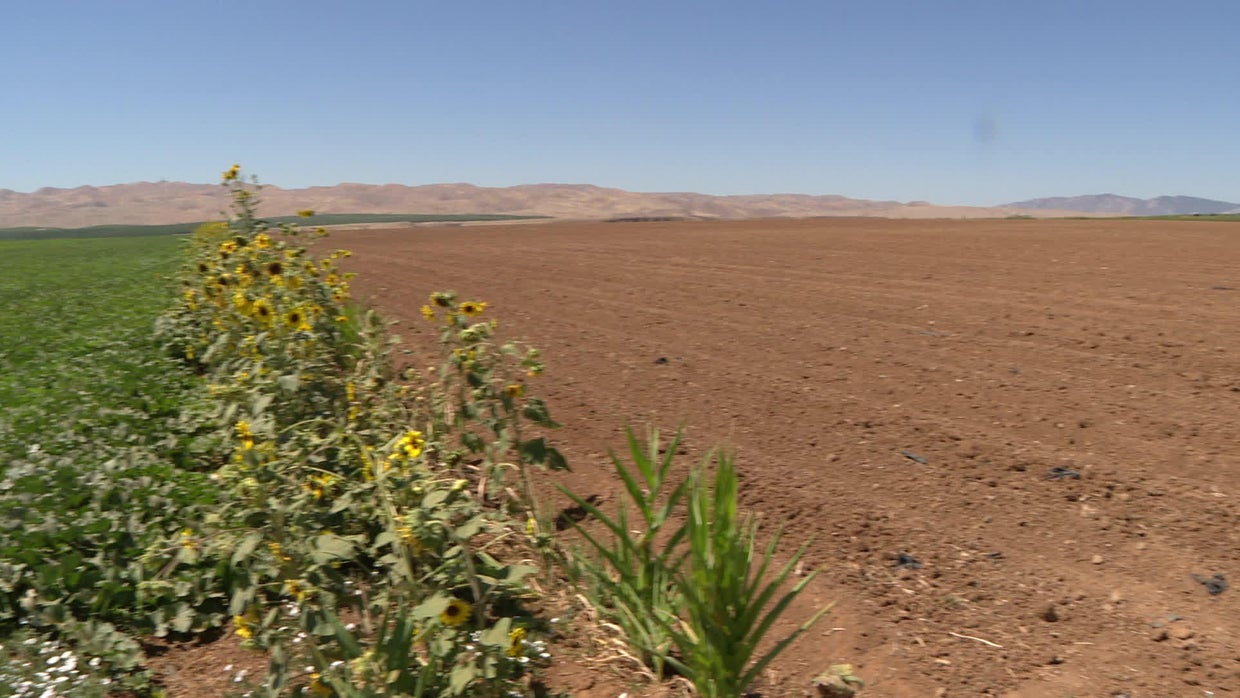 What the megadrought means to the American West - CBS News