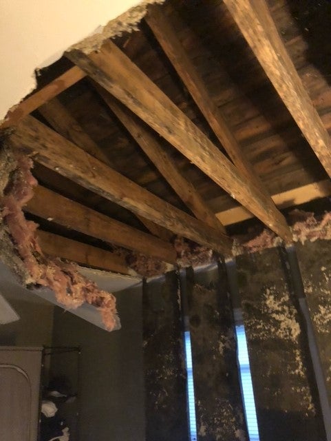 Ceiling Collapse On Tenant Settlements | Shelly Lighting