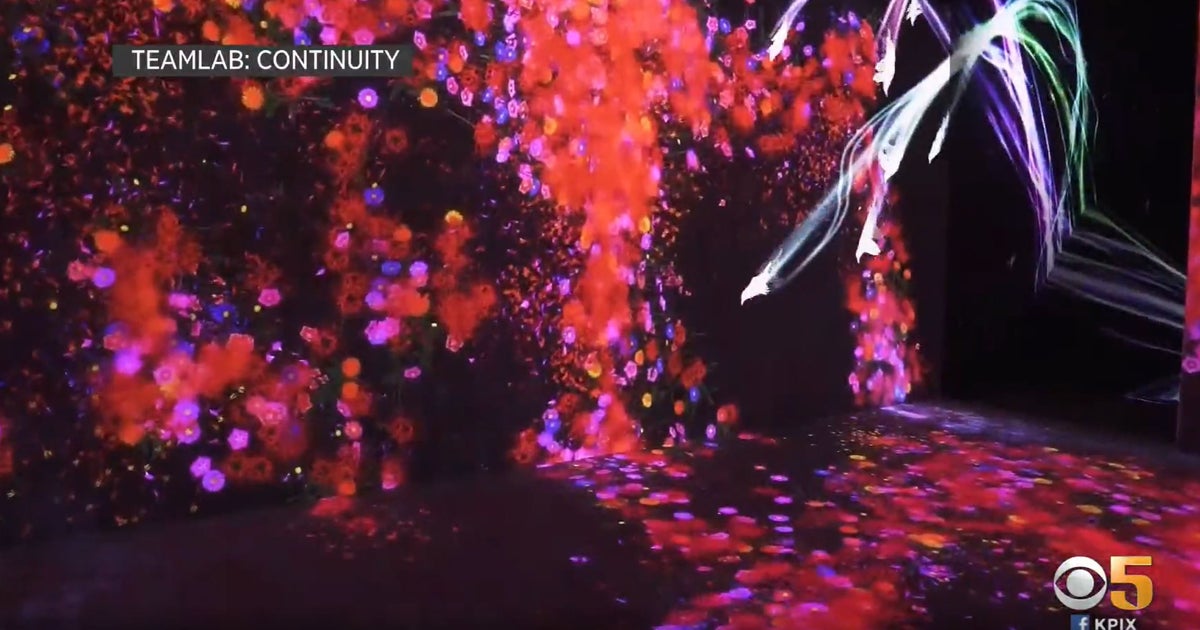 High-Tech 'teamLab': Continuity' Exhibits Opens At Asian Art Museum in ...