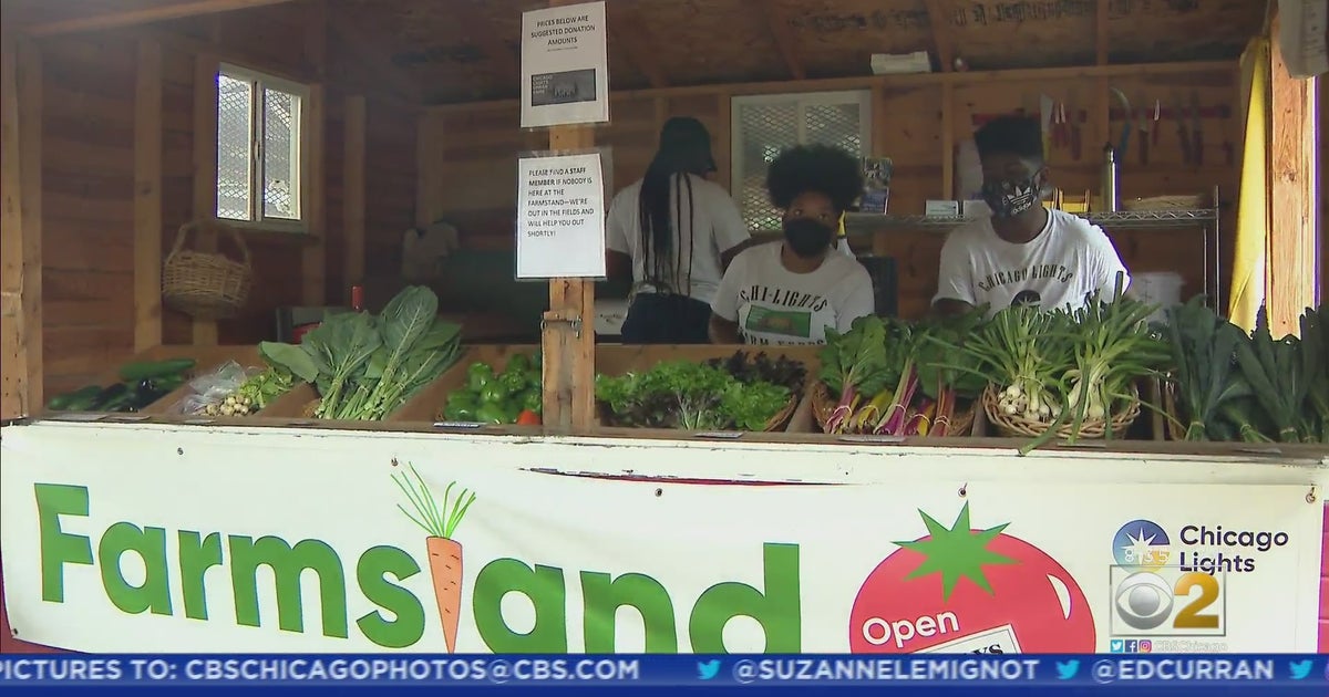 Chicago Lights Urban Farm Kicks Off Summer Farmstand Program - CBS Chicago