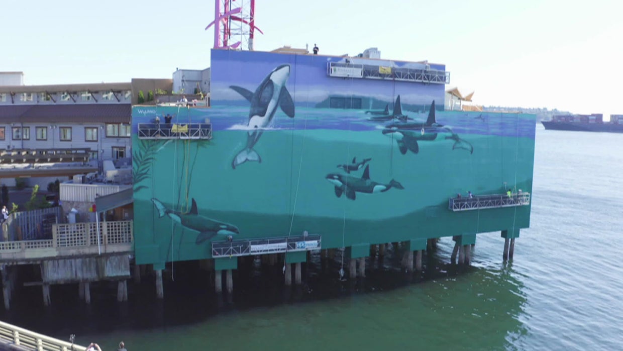 The artist Wyland and his "whaling walls" - CBS News