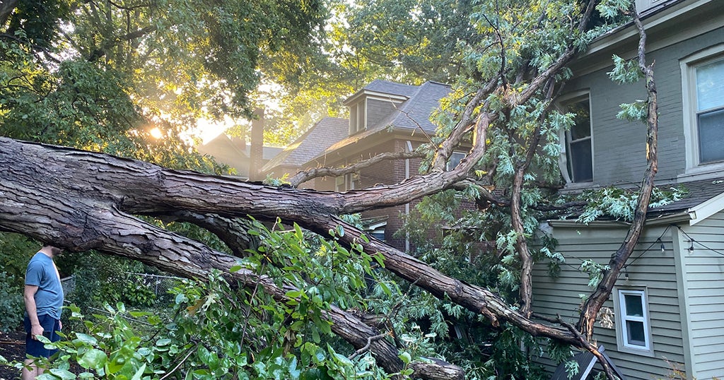 Storm Causes Tree To Crash Into Back Of Home In Edgewood - CBS Pittsburgh