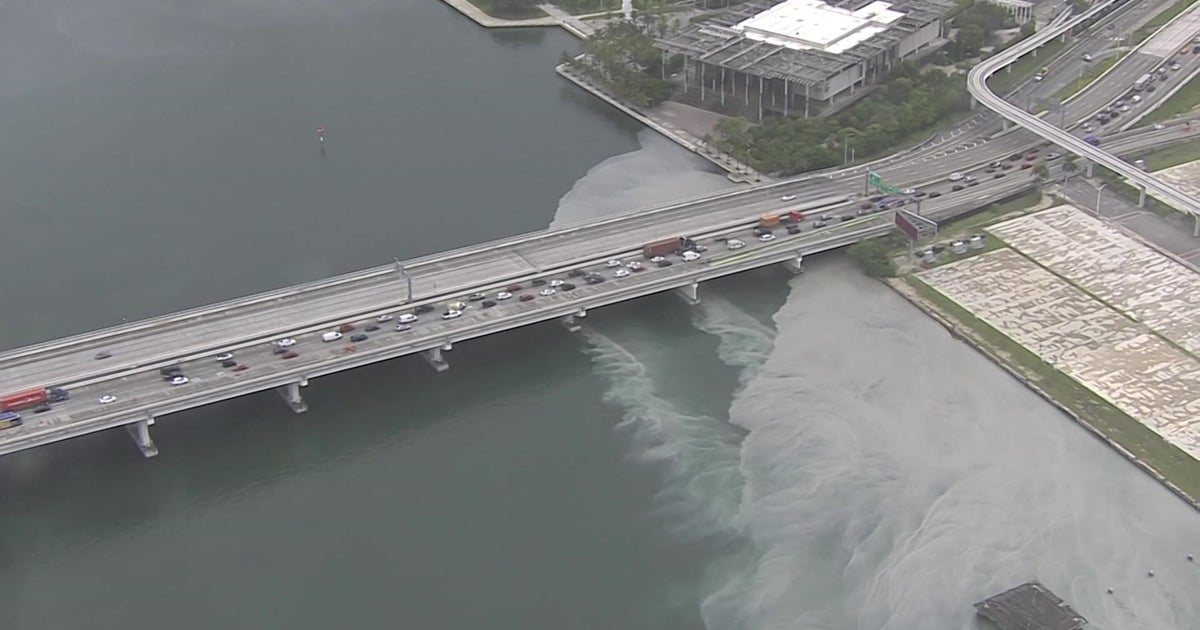 Florida Department Of Transportation Blamed For Biscayne Bay Pollution ...