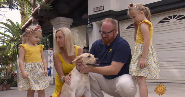 Pet cloning: Man's best friend, again - CBS News
