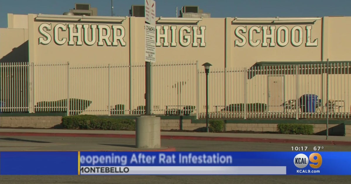 Schurr High School Students To Return To Campus After Classroom Rat ...