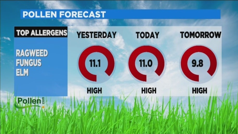 Yes, Your Allergies Are Probably Acting Up As DFW Ranks At Top Of Worst ...