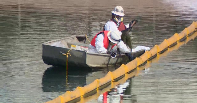 Southern California oil spill threatens wildlife, closes beaches as ...