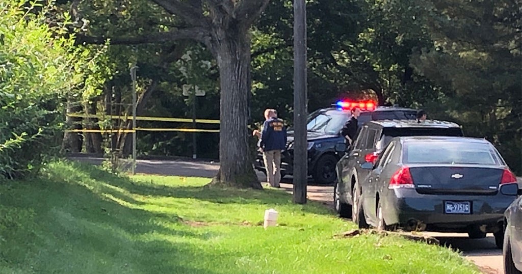 Suspect in mail carrier's fatal shooting in Collier Township reportedly ...