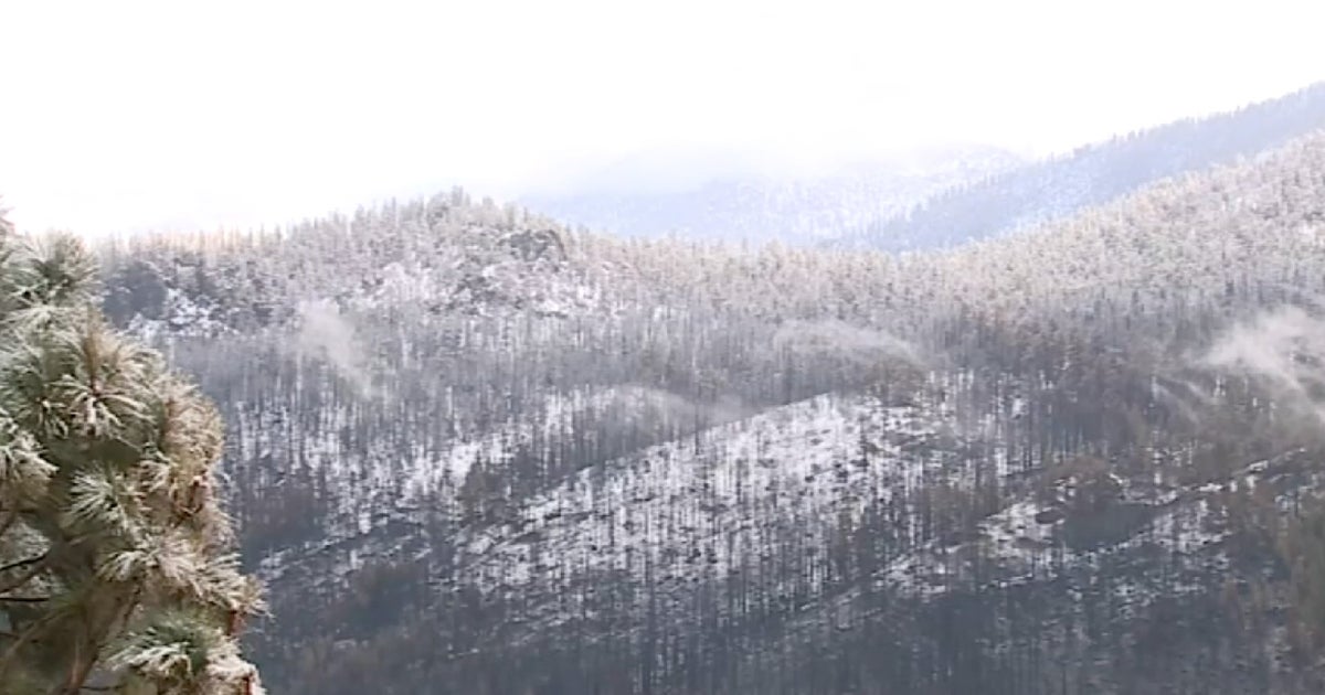 Snowflakes Fall On Caldor Fire Burn Scar As Wet Weather Moves Through ...