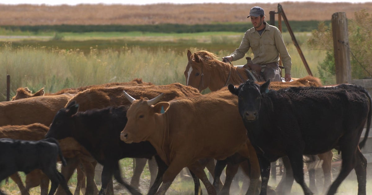 60 Minutes visits Deep Springs College - CBS News