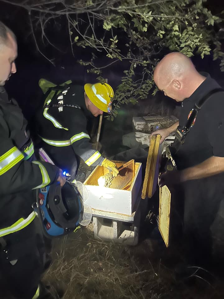 Bee Hives Set On Fire At Fountain Nature Center, Firefighters Say - CBS ...