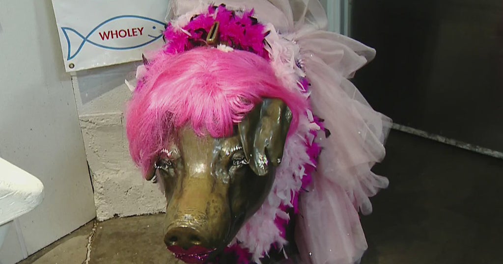 Rachael The Bronze Pig At Wholey's Market Turns 28 Years Old - CBS ...