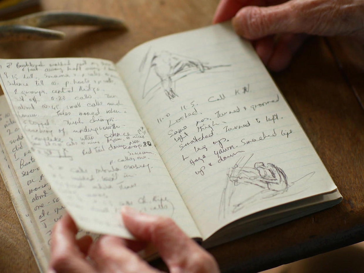 Jane Goodall on her hope for the future - CBS News