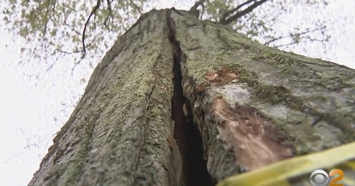 With Weather More And More Severe, Experts Warn To Be On The Lookout ...