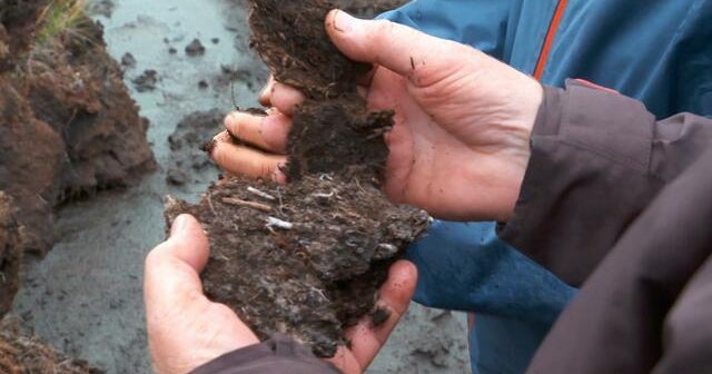 Scotland's peat bogs recognized for their vital role in storing carbon ...