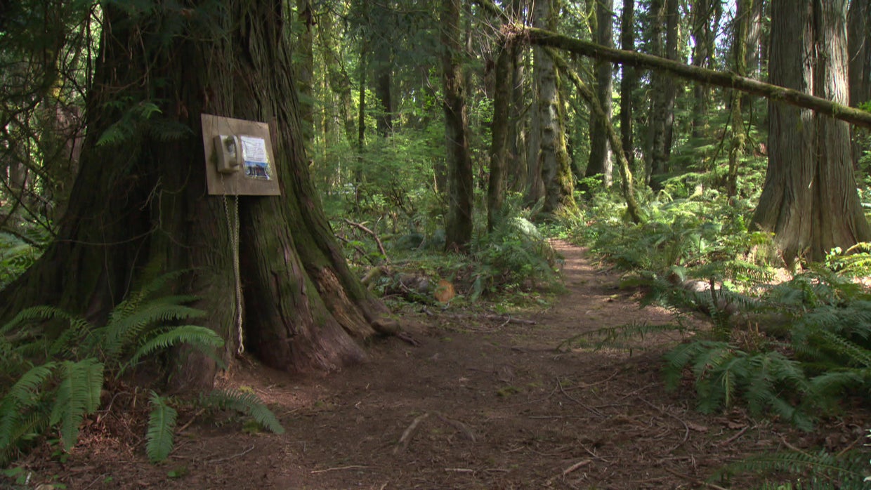 Making phone calls to the departed - CBS News