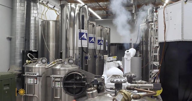 Cryonics: Chilling into the future - CBS News