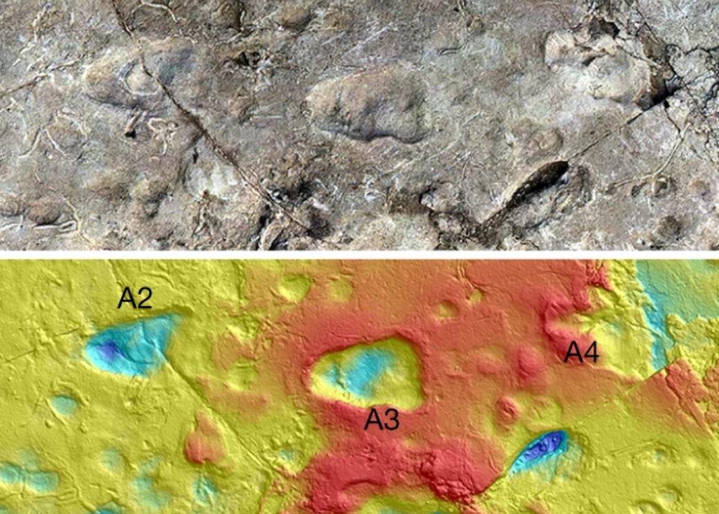 "Mystery" prehistoric footprints re-excavated for second look: Were ...