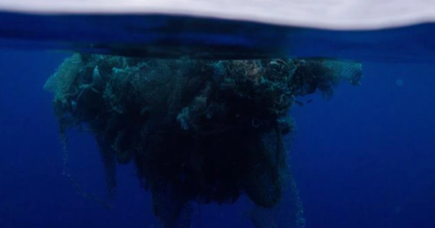 There's so much plastic floating on the ocean surface, it's spawning ...