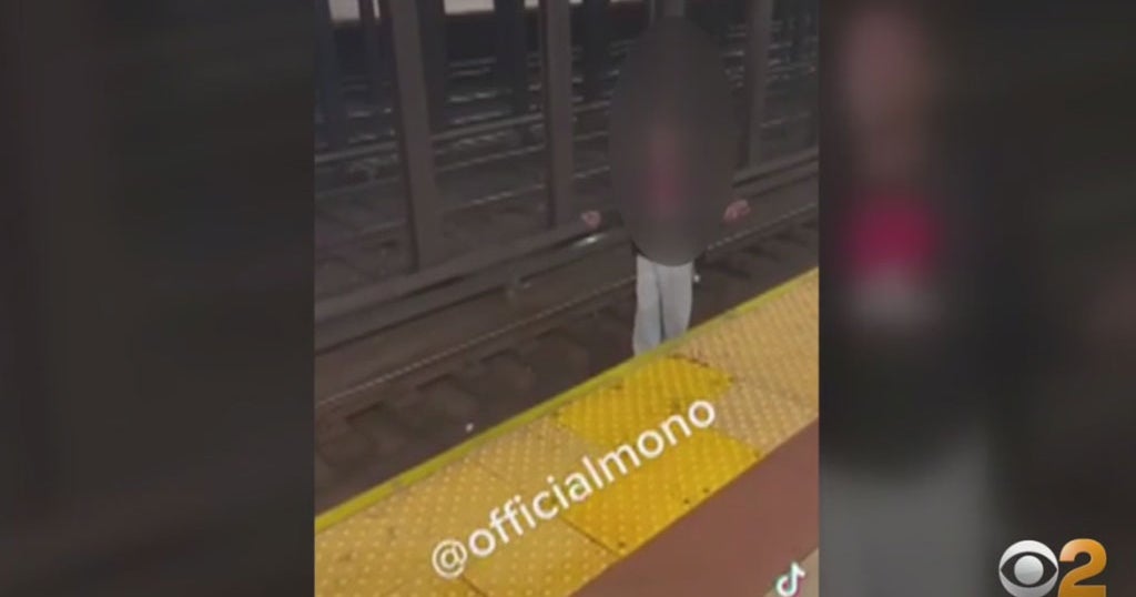 Exclusive: MTA Unveils Plan For 'Trespasser Task Force' To Stop People ...