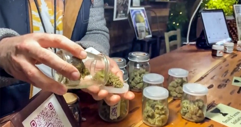 Small-Scale California Cannabis Growers Say They're Barely Hanging On ...