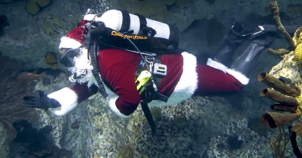 Santa Claus Scuba Dives At The National Aquarium - CBS Baltimore
