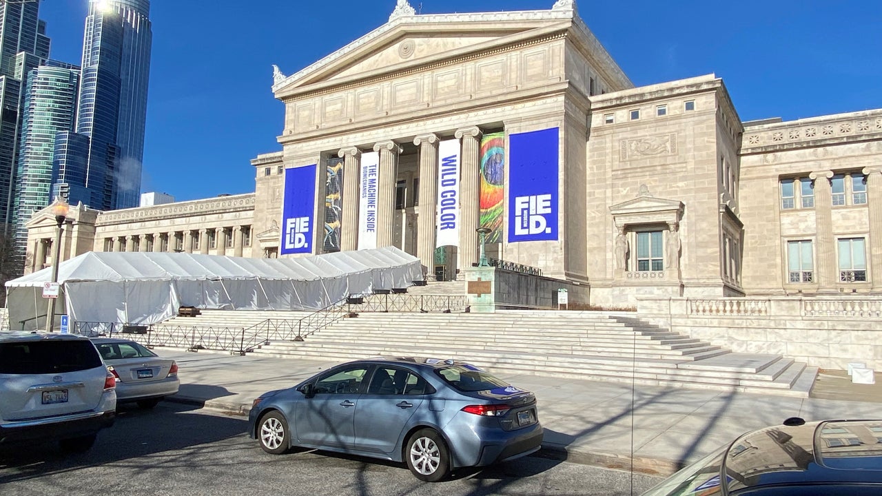 Stories About Field Museum - CBS Chicago