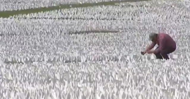 The biggest national headlines of 2021: COVID-19, George Floyd and more ...