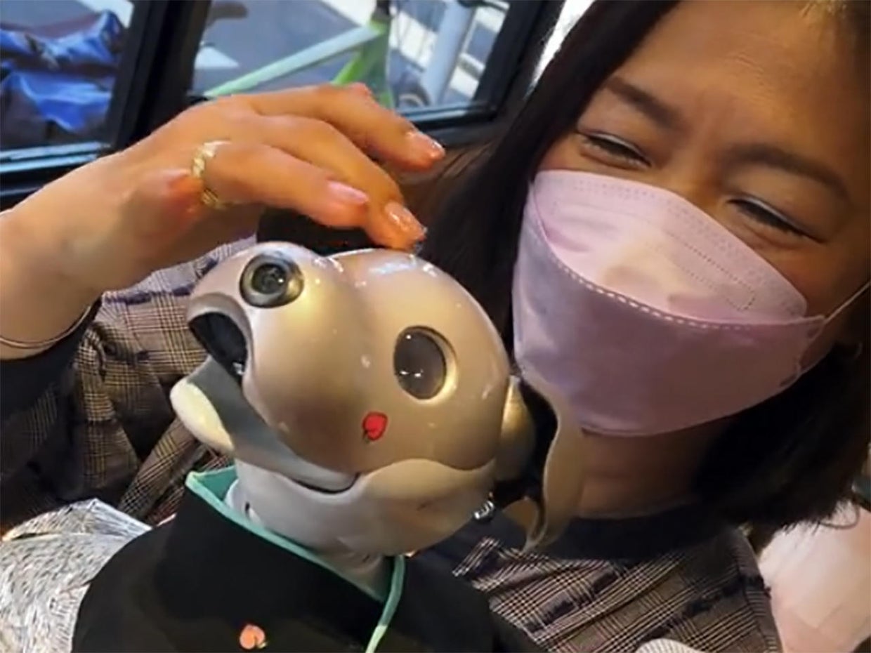 Robo-dogs and therapy bots: Artificial intelligence goes cuddly - CBS News