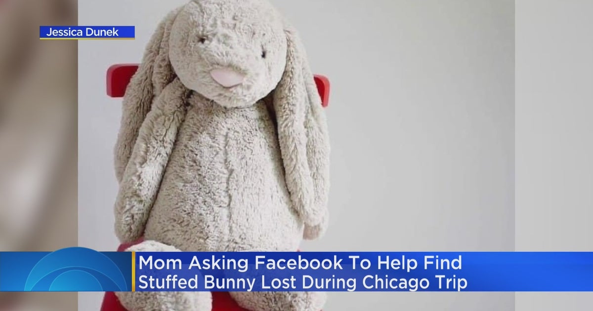 Have You Seen This Bunny? 7-Year-Old Girl Searching For Stuffed Animal ...