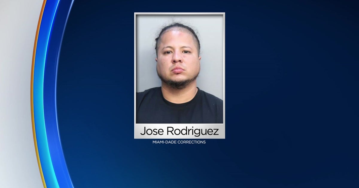 Miami Police: Driver Faces Charges After Attempting To Flee Multi ...