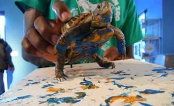 Does Your Valentine Love Animals? Send An Animal Gram! - CBS Colorado