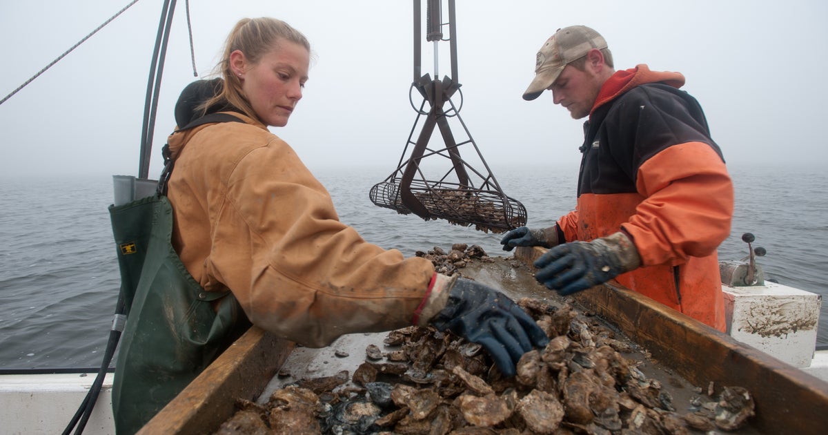 Maryland Environmental Officials Issue Emergency Order For Potomac ...