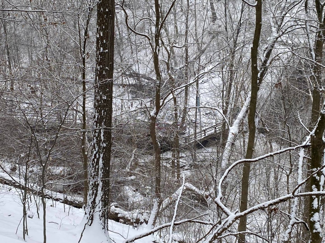 Bridge Collapses In Pittsburgh's Frick Park