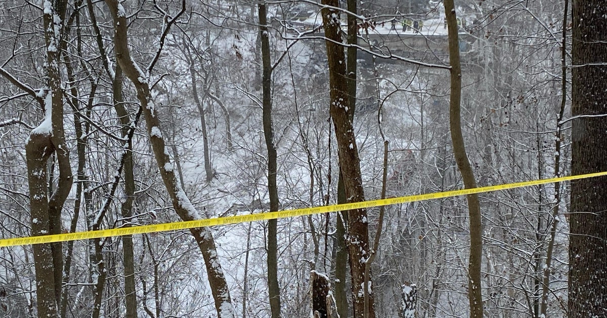PHOTO GALLERY: Fern Hollow Bridge Collapses In Pittsburgh's Frick Park ...