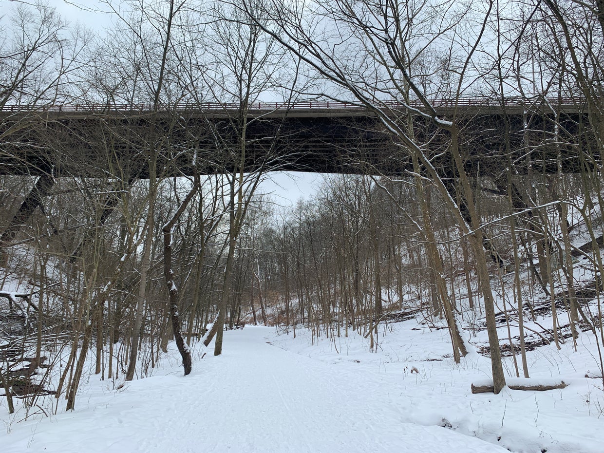 Bridge Collapses In Pittsburgh's Frick Park