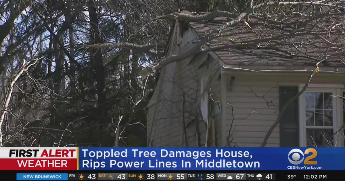 Strong winds bring down trees and power lines - CBS New York