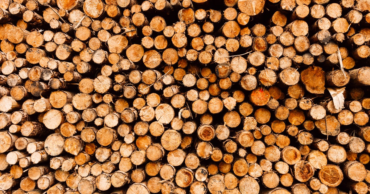 Man Dies In Logging Accident In El Dorado County, Cal Fire Says - CBS ...