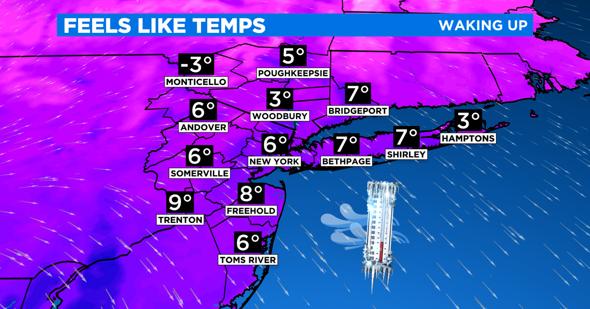 New York Weather: CBS2's 2/20 Sunday morning forecast - CBS New York