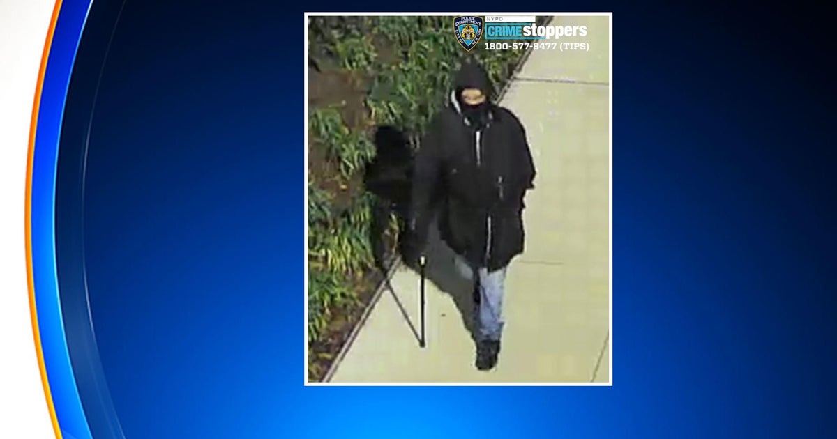 Caught on video: Suspect bashes woman with a hammer, robs her as she ...