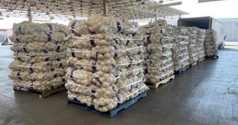 $2.9 million worth of meth disguised as onions seized at California ...