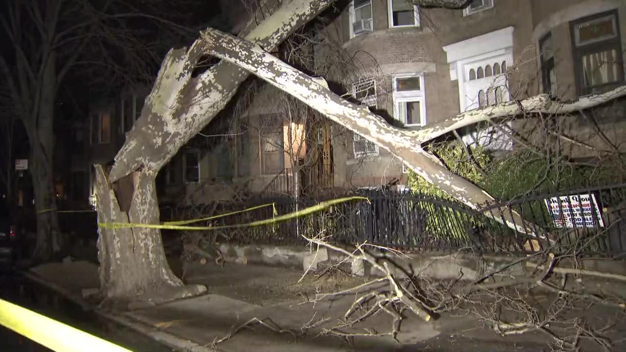 Stories About Bay Ridge - CBS New York