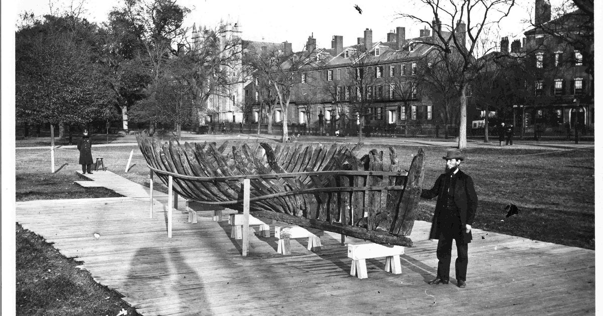 New analysis links timbers to the legendary Pilgrim-era boat Sparrow ...