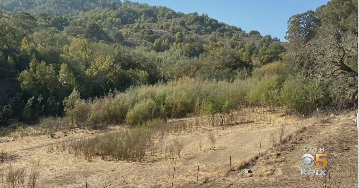 Marin County To Establish 38 Miles Of Shaded Fuel Breaks In Effort To ...