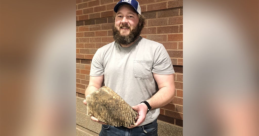 Worker Discovers Wooly Mammoth Tooth At Iowa Construction Site - CBS ...