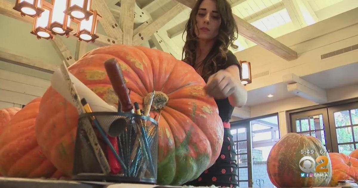STEAM: Meet A Pumpkin Artist - CBS Los Angeles